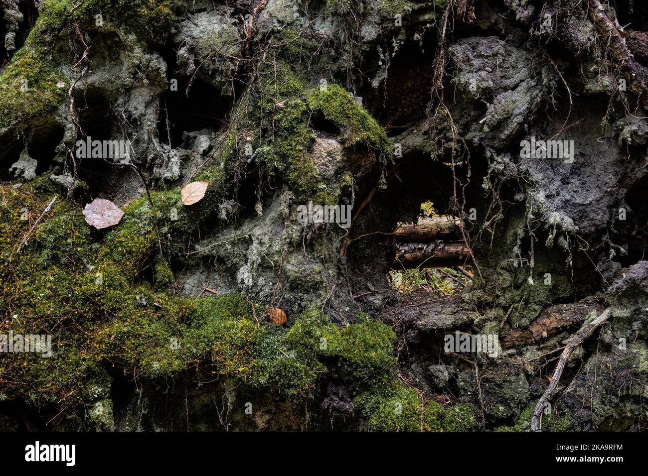 Dark mud and moss background with hole Stock Photo - Alamy