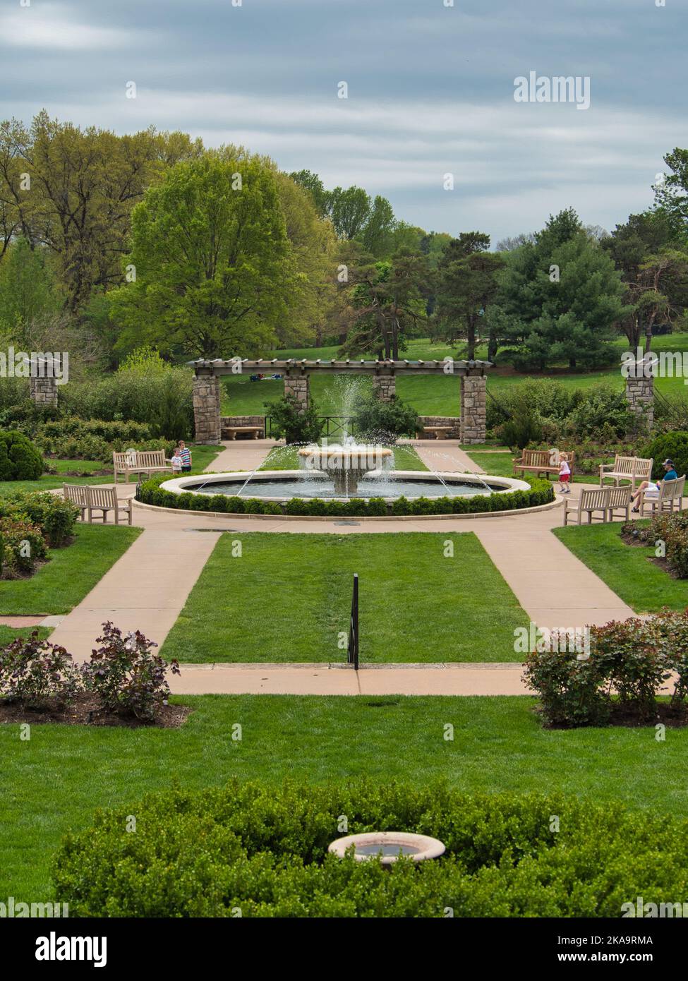 A vertical shot of the Rose Gardens at Jacob Loose Park in Kansas City ...