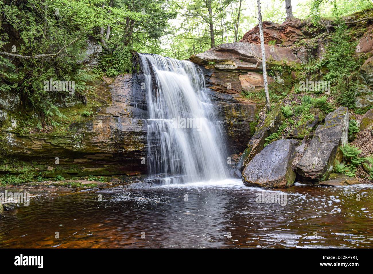A lazy waterfall makes its way across the forest floor and spills into ...