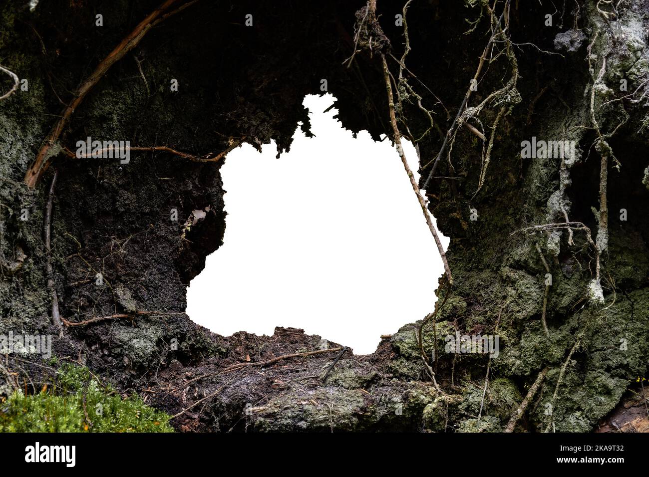 Dark mud, roots and green moss background Stock Photo - Alamy