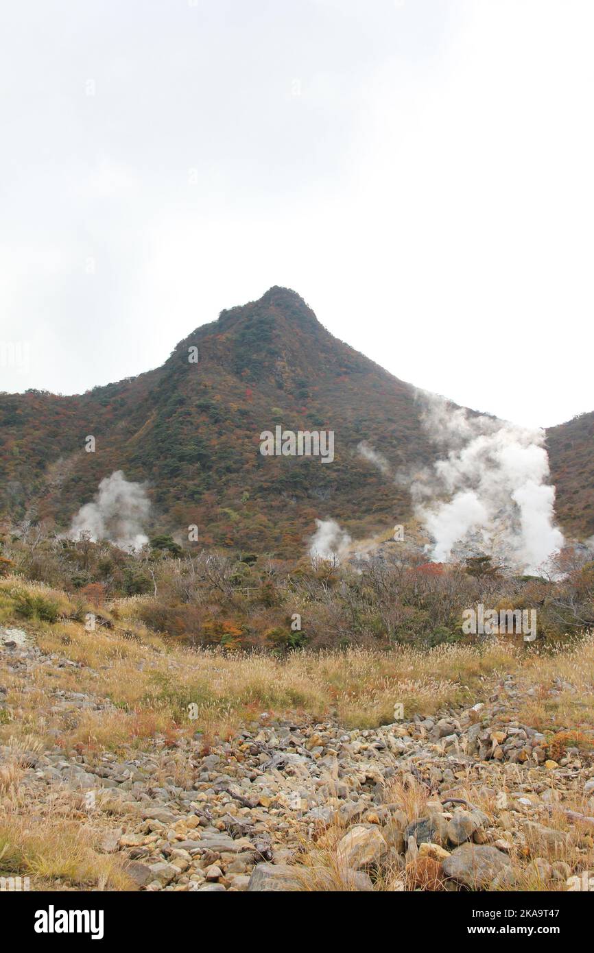 Active sulphur vents of Owakudani at Hakone national park, Japan Stock Photo - Alamy