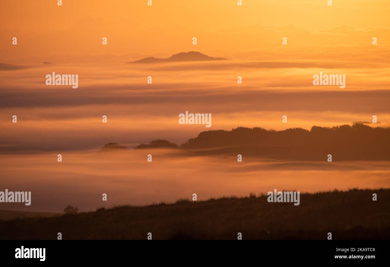 A golden cloud inversion at sunrise on Dartmoor, taken from near ...