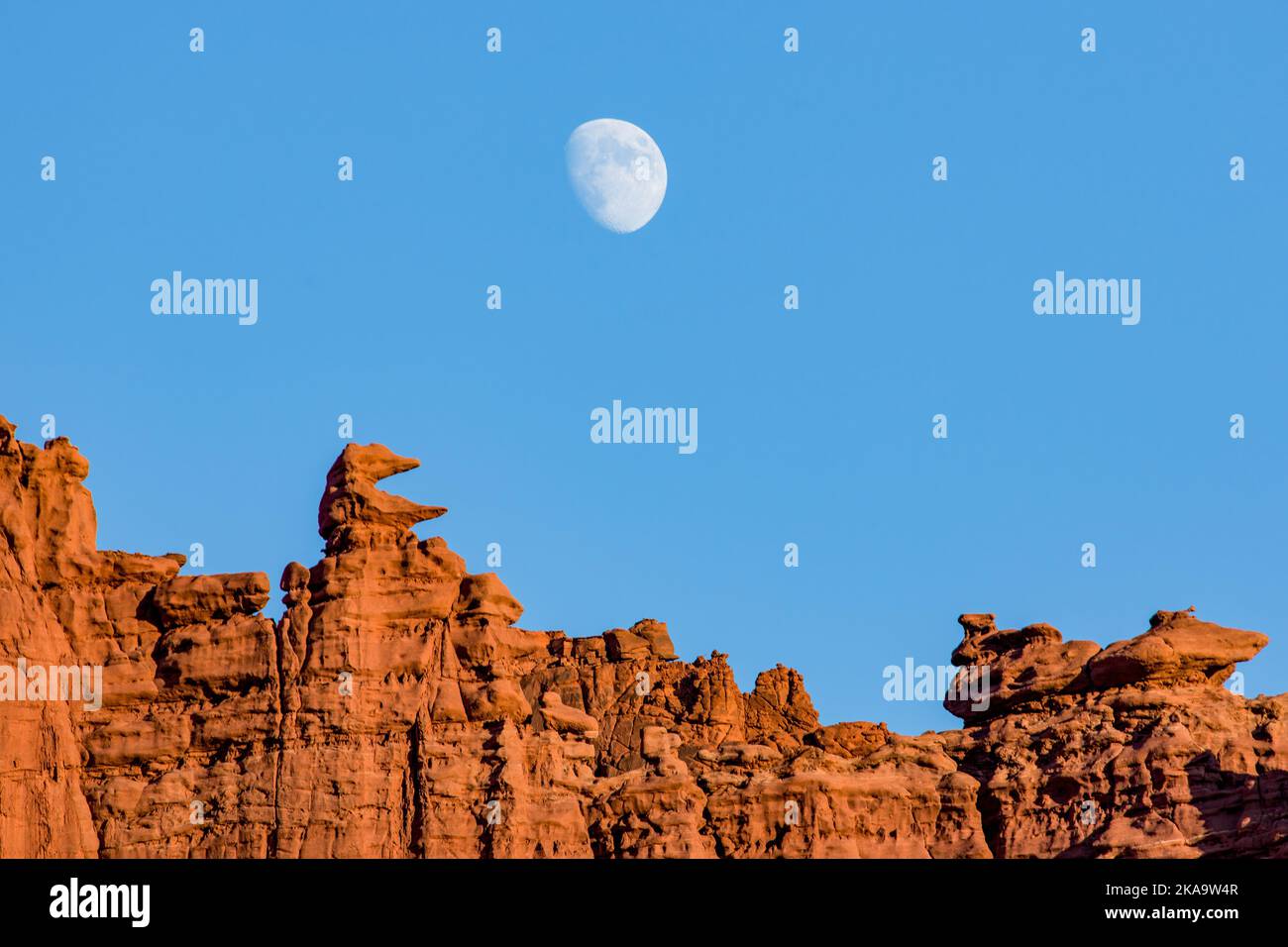 Rising moon over Pac Man in the Fisher Towers, eroded Cutler sandstone ...