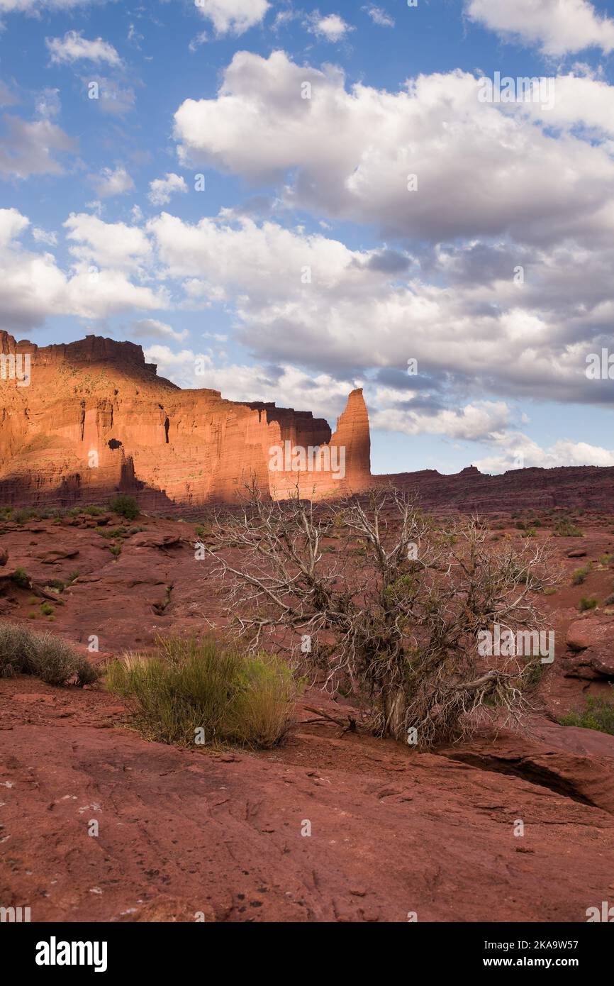 Spotlighting on the Fisher Towers near Moab, Utah. The Titan, at right ...