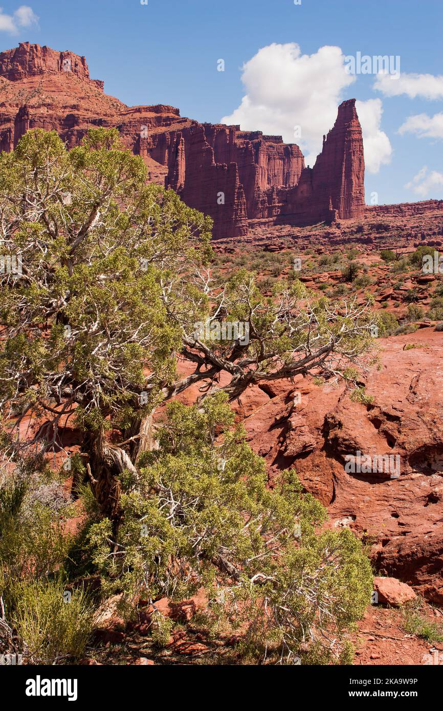 Waring Mesa and the Fisher Towers. The Titan at right is the tallest ...