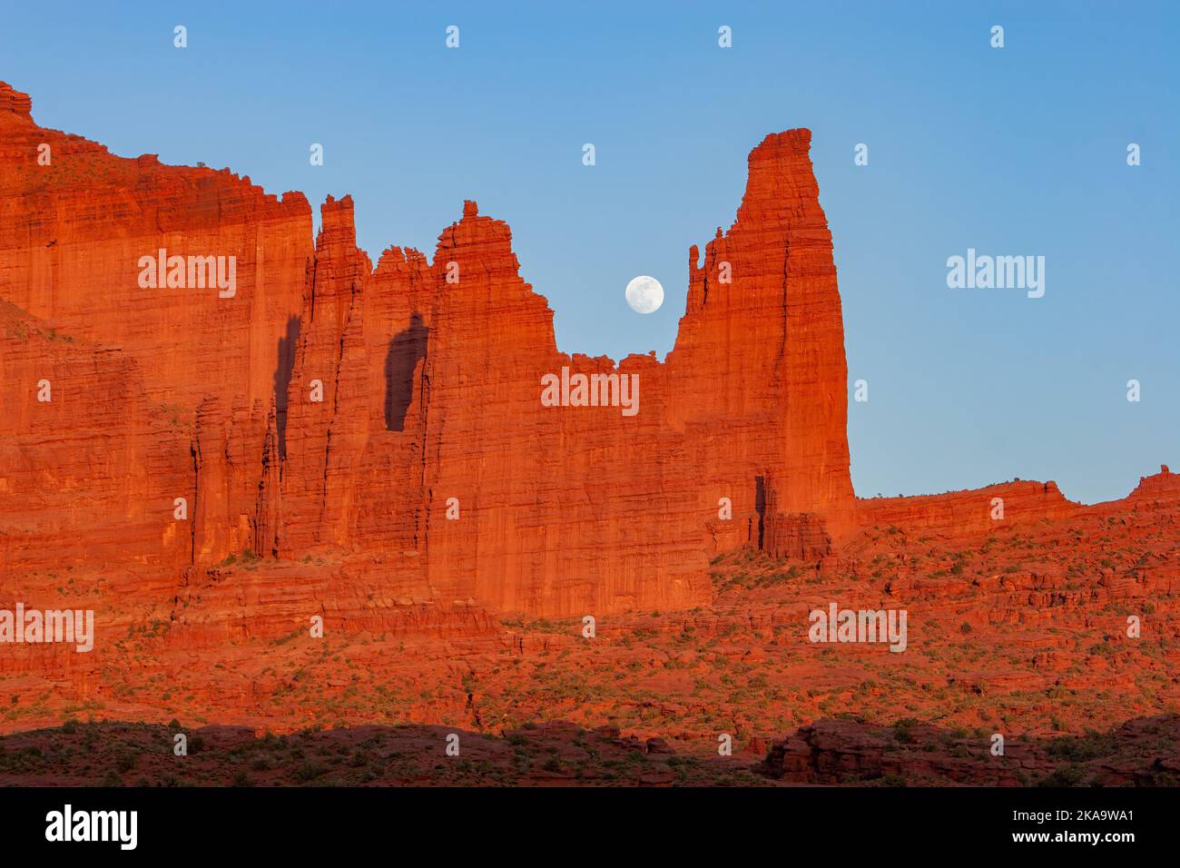Cottontail tower hi-res stock photography and images - Alamy