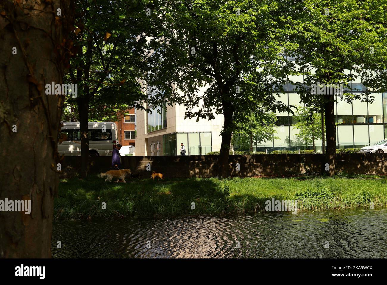 Spring day at the Grand Canal, Dublin Ireland with calm water Stock ...