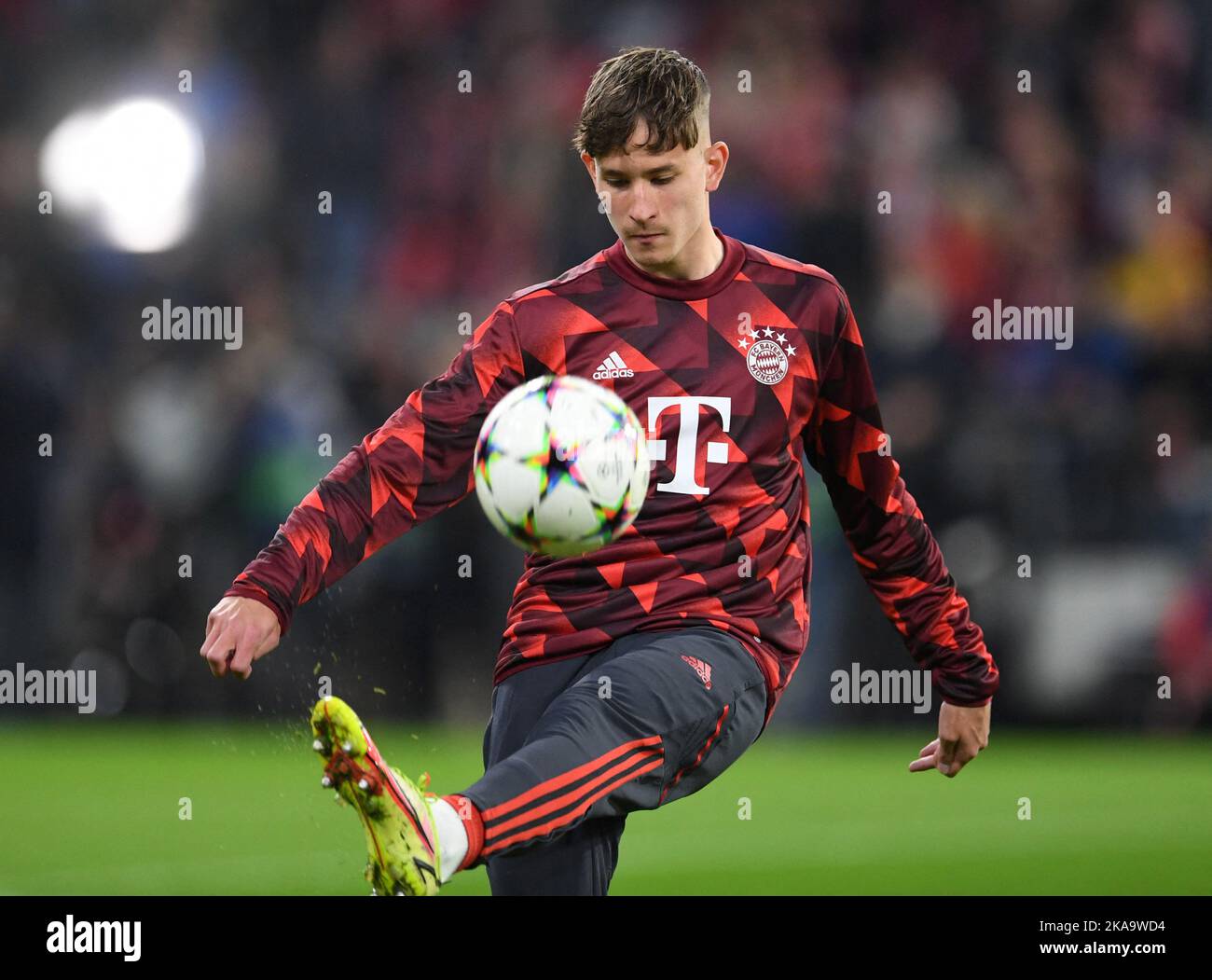 Janitzek hi-res stock photography and images - Alamy