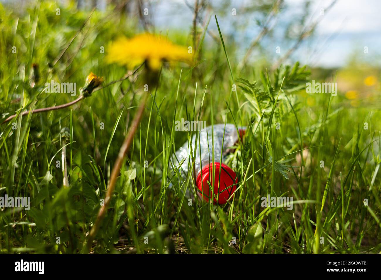Abandoned garbage plastic and glass waste in nature among the grass ...