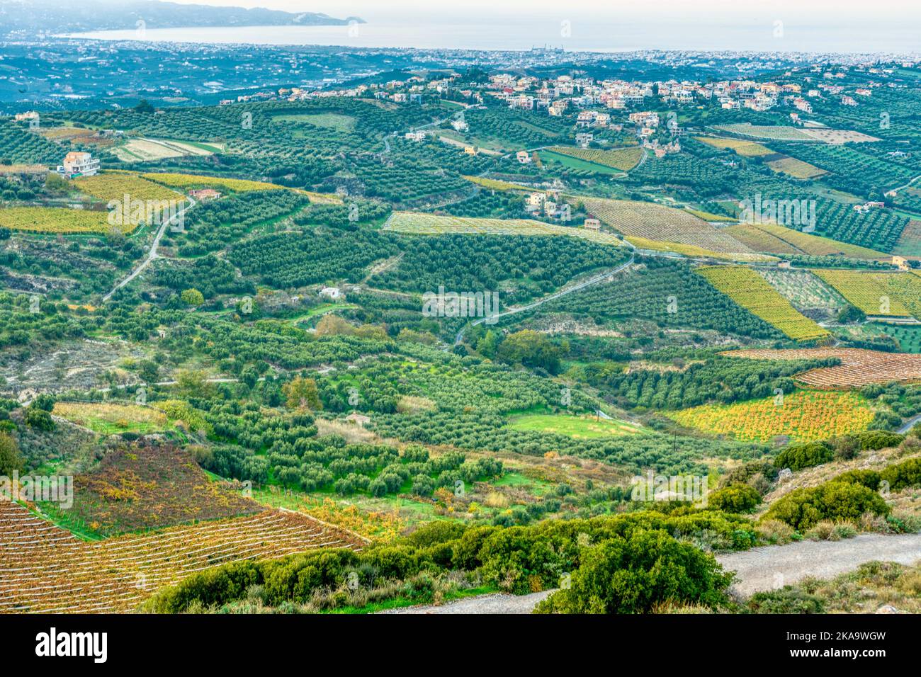 Aerial view of landscape with olive trees and mountains on Crete Stock ...