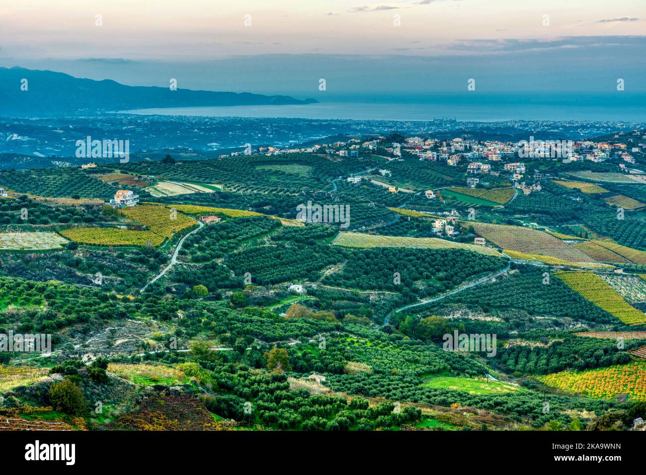 Aerial top view by drone of the Cretan landscape with olive trees and ...