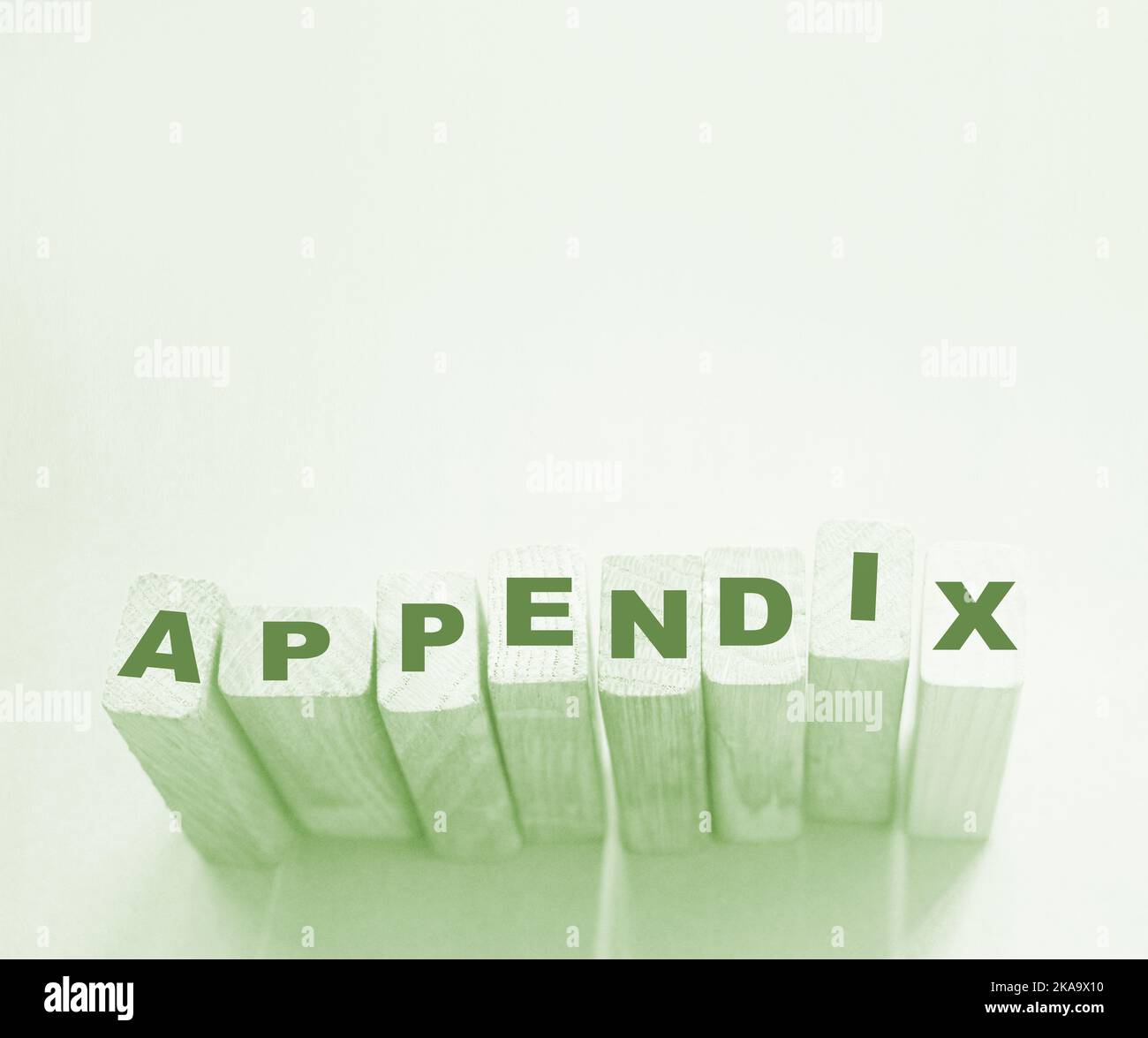 appendix word written on wood block. appendix text on table, concept ...