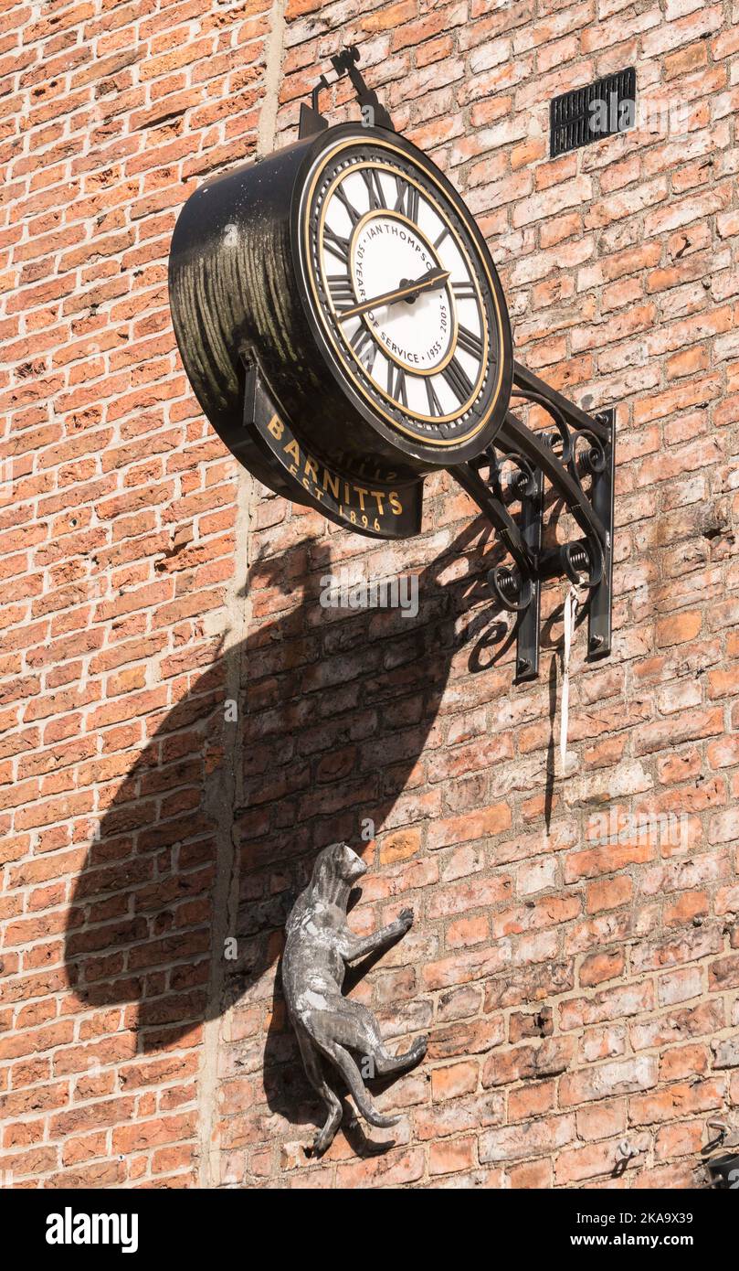 Clock and black cat above Barnitts shop in Colliergate, York, North ...