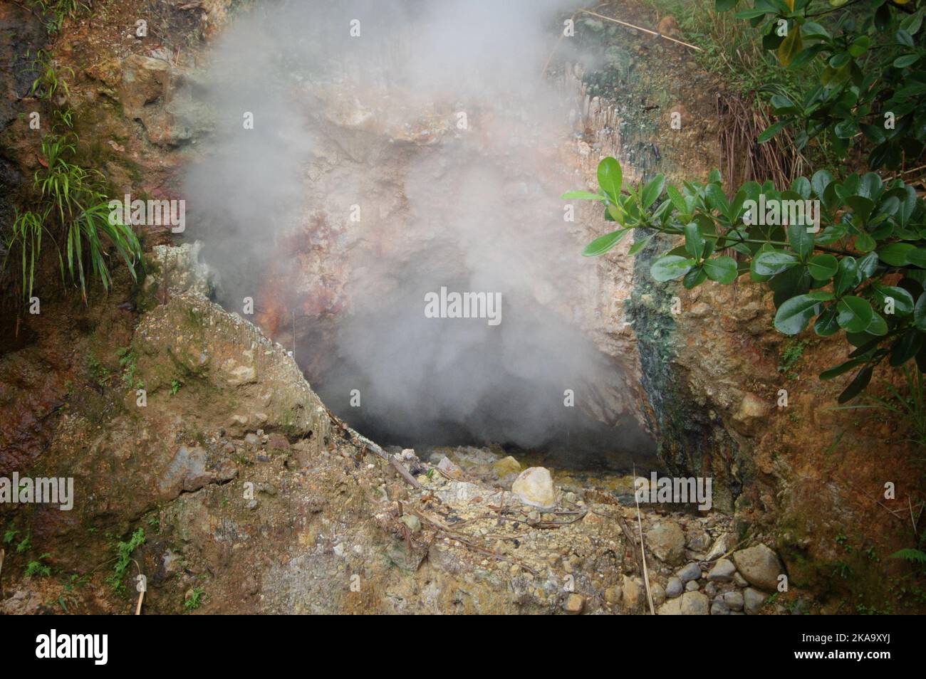 A steam coming out of the cave with green bushes on the background ...