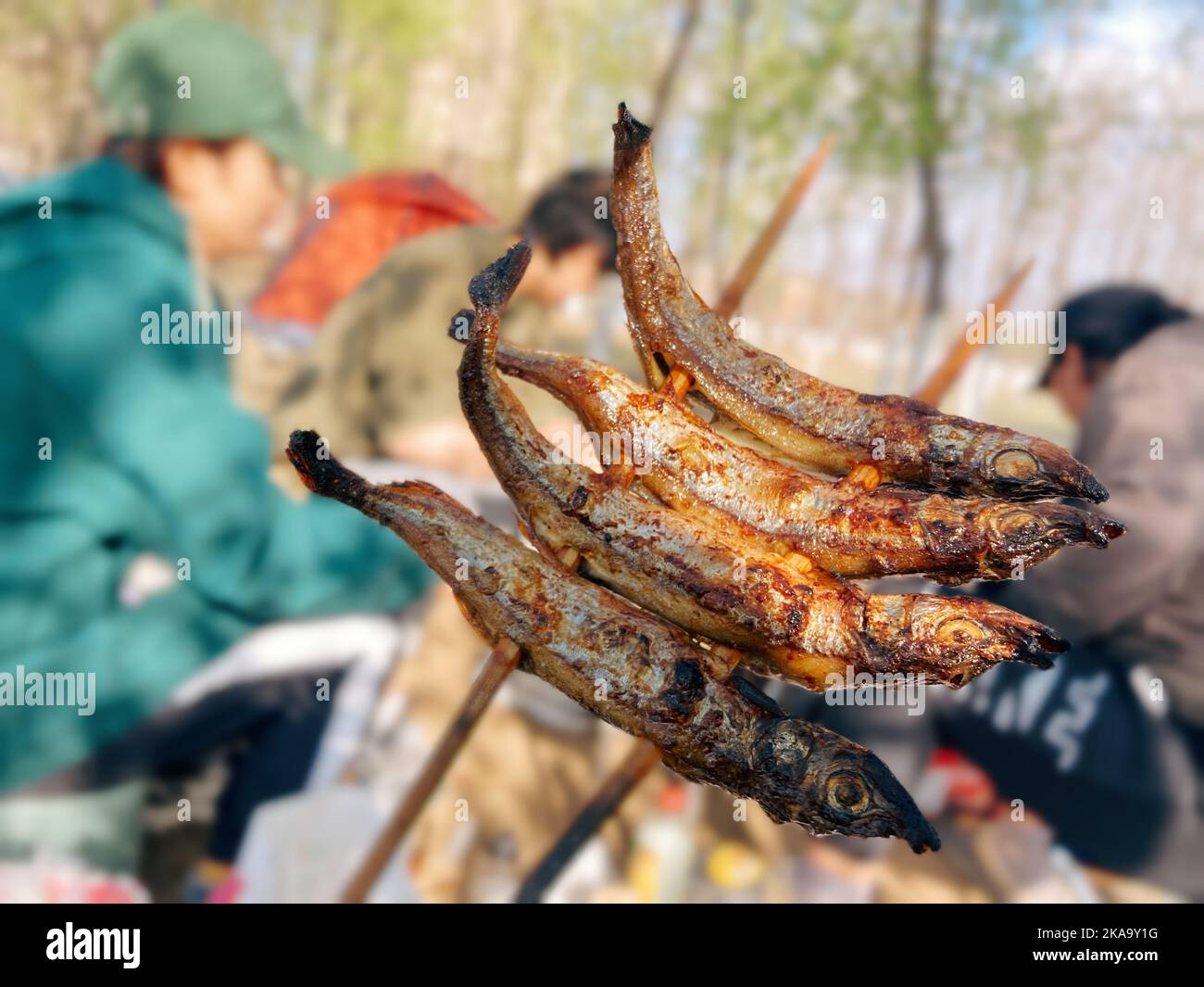 A shallow focus shot of Shishamo fish grilled on fish sticks with ...