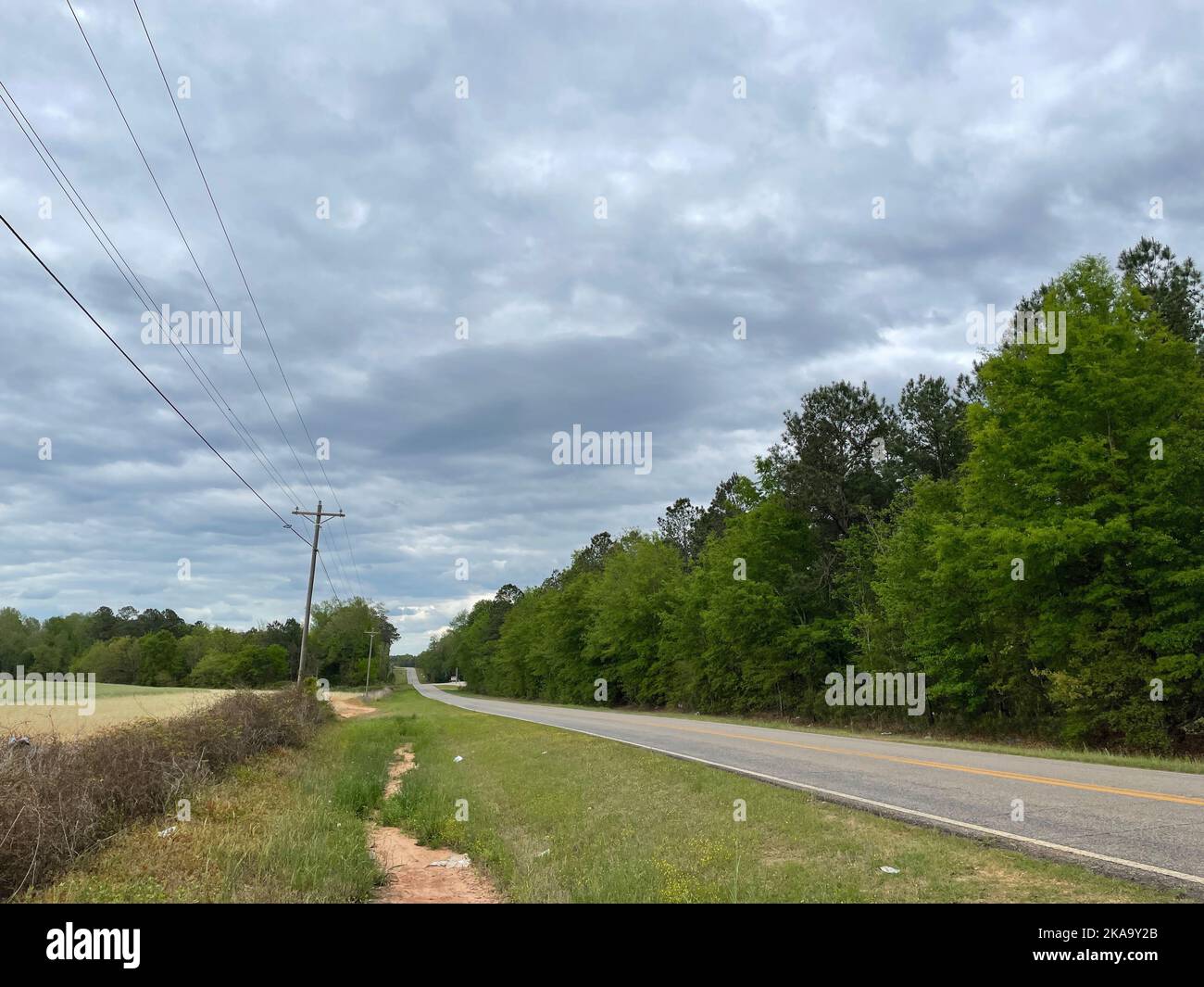 Burke County, Ga USA 04 14 22: Long country road and green grass Stock ...