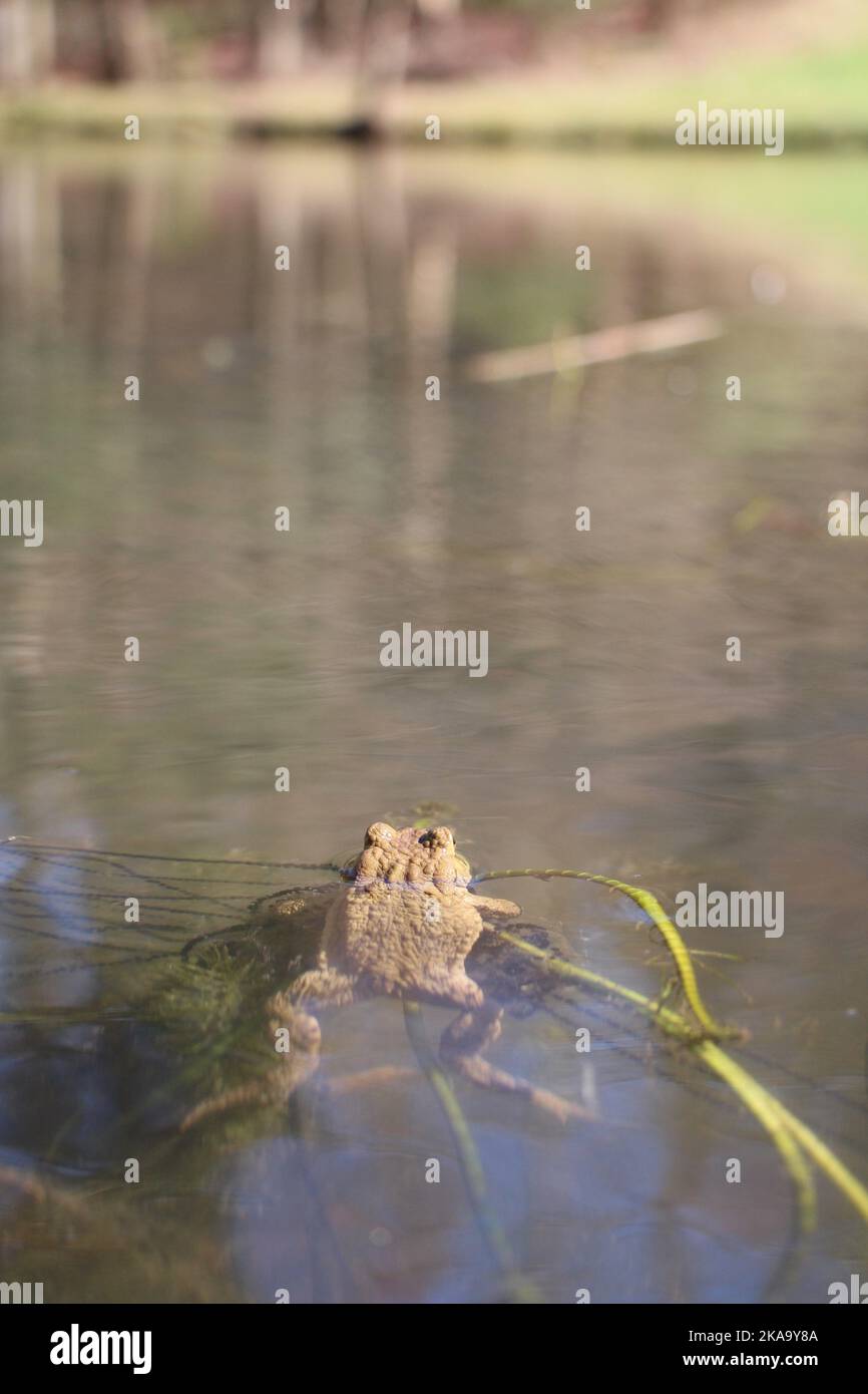 Hanging around hi-res stock photography and images - Alamy