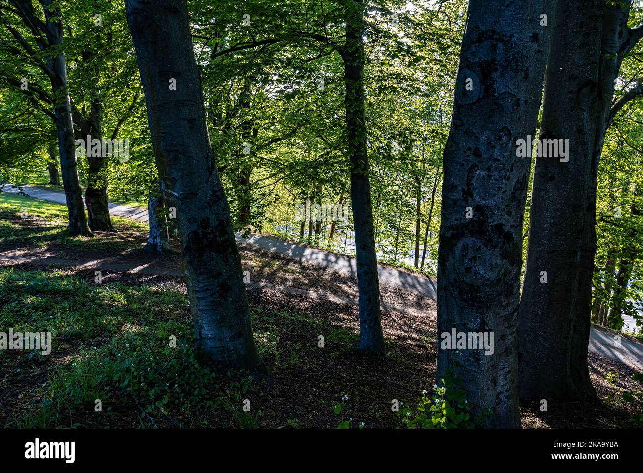 Kampen Park in Oslo Norway Stock Photo - Alamy
