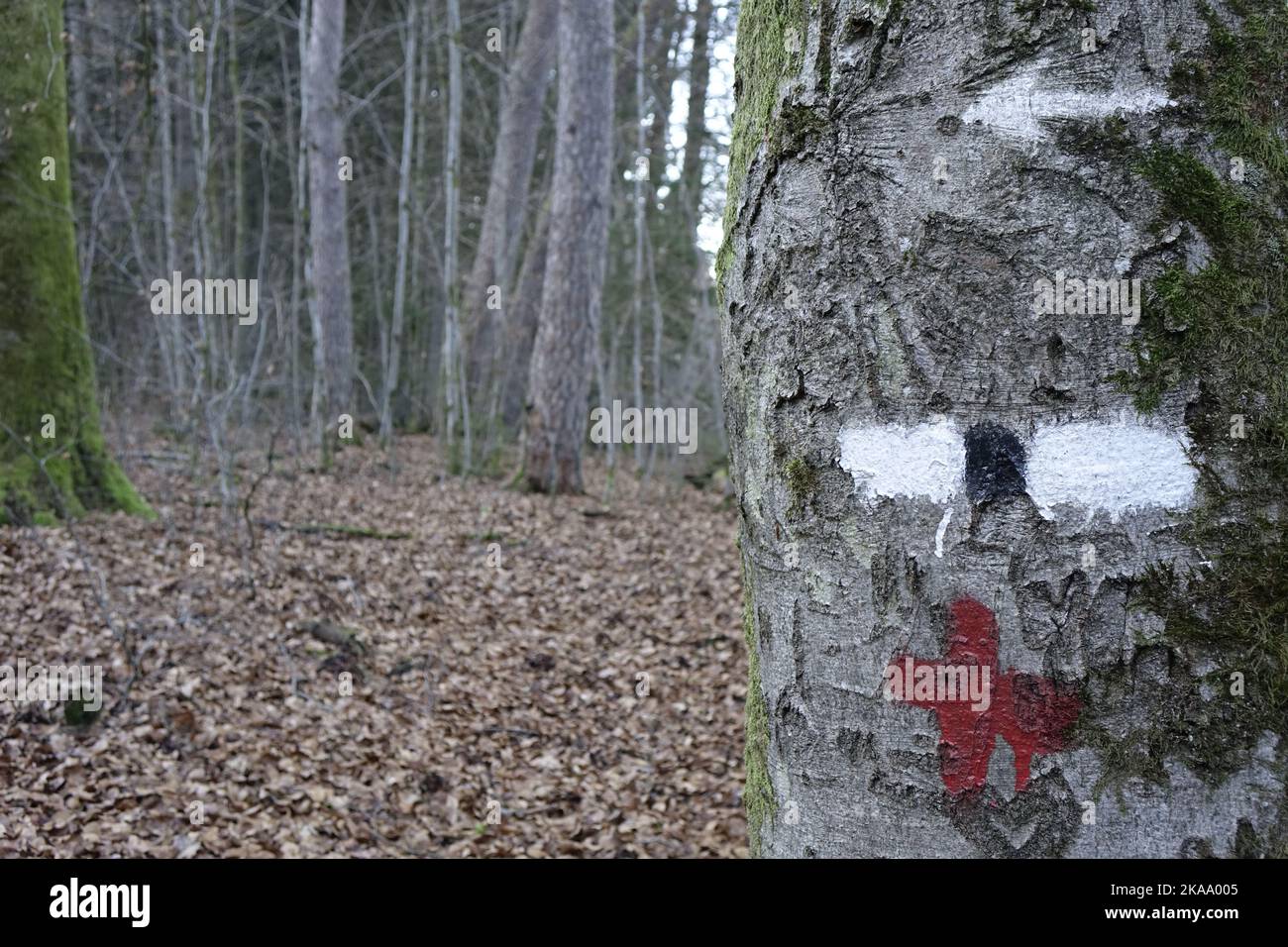 Germany plus hi-res stock photography and images - Alamy