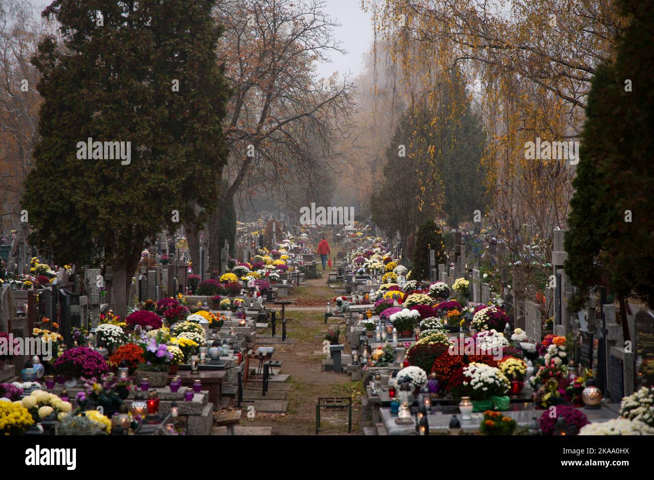 Warsaw, Poland, 01 November, 2022, Visitors are seen on All Saints' Day ...