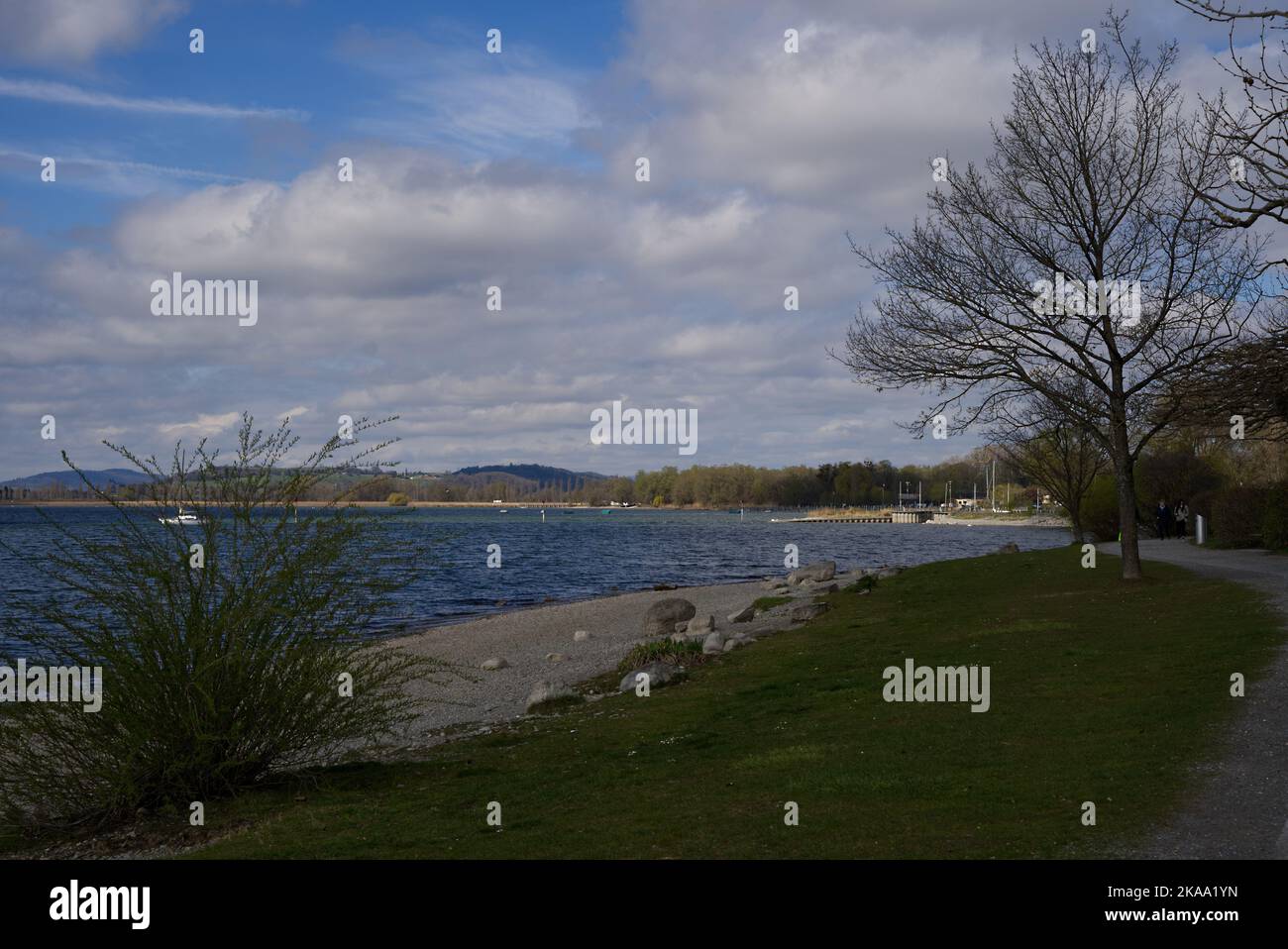Beautiful, calm bank of the lake covered with greenery and trees under ...