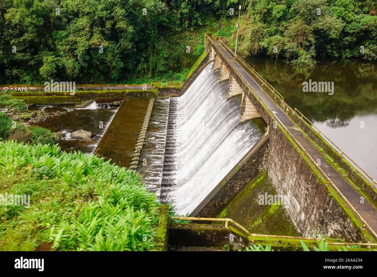water dam in the middle of the tropical rainforest Stock Photo - Alamy