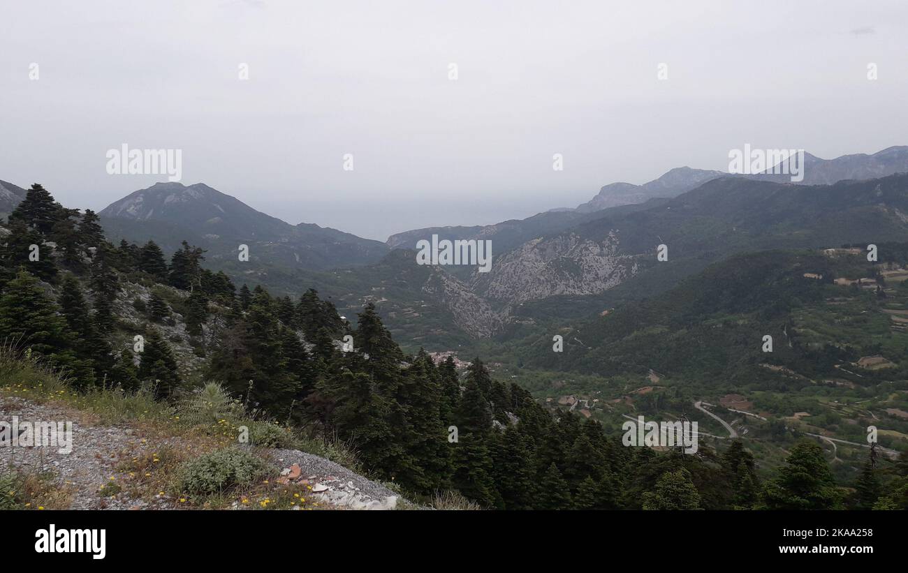 The green trees in big landscape with mountains and gray gloomy sky of ...