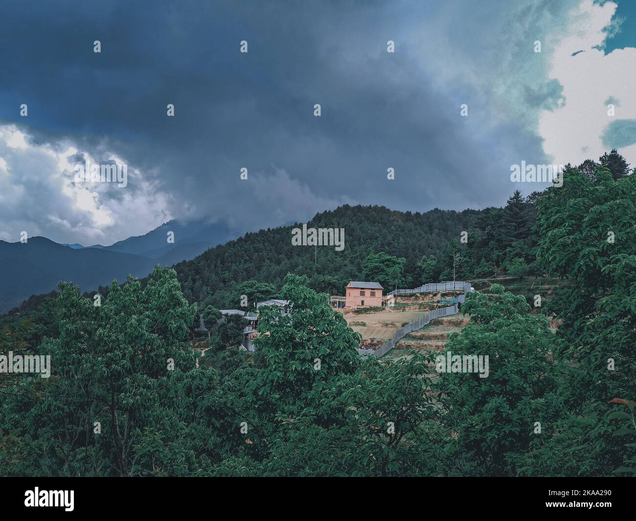 The rural houses surrounded by dense green trees under a cloudy sky ...