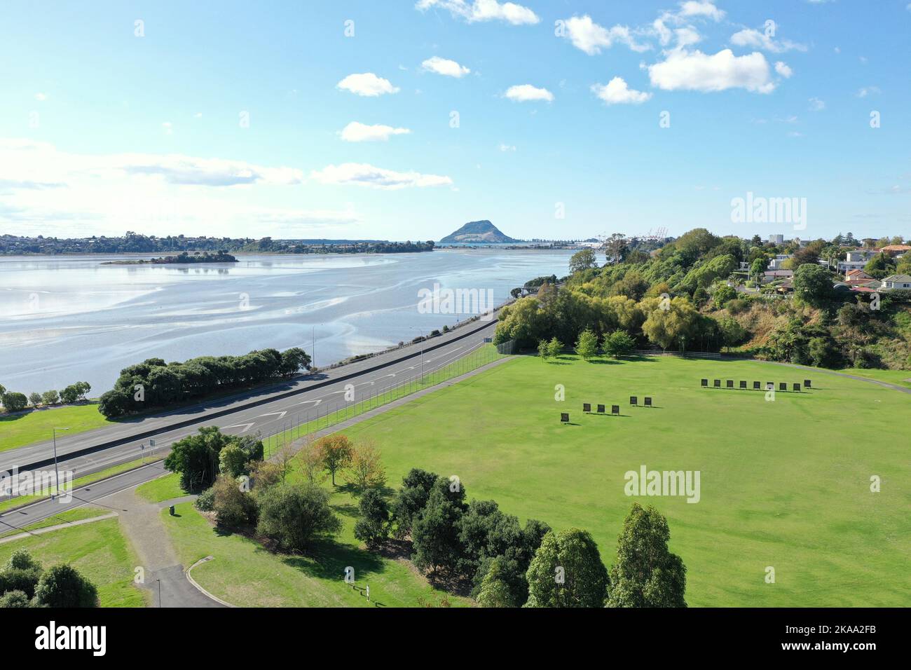 A bird's eye view of a landscape covered with greenery and a town ...