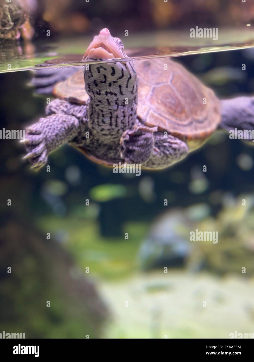 Breath captured hi-res stock photography and images - Alamy