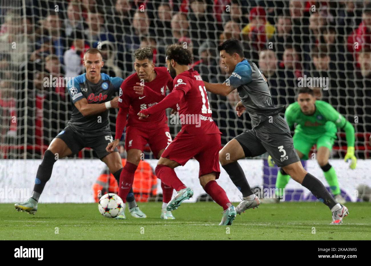 Anfield Stadium, Liverpool, England: 1st November 2022, Champions ...