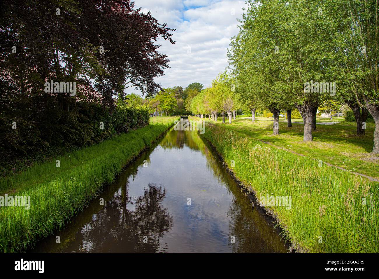 A scenic landscape with a channel and beautiful green foliage and grass ...