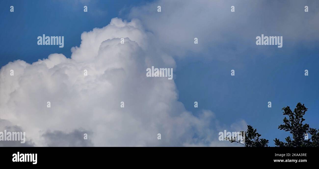A low angle shot of blue sky with big clouds Stock Photo - Alamy