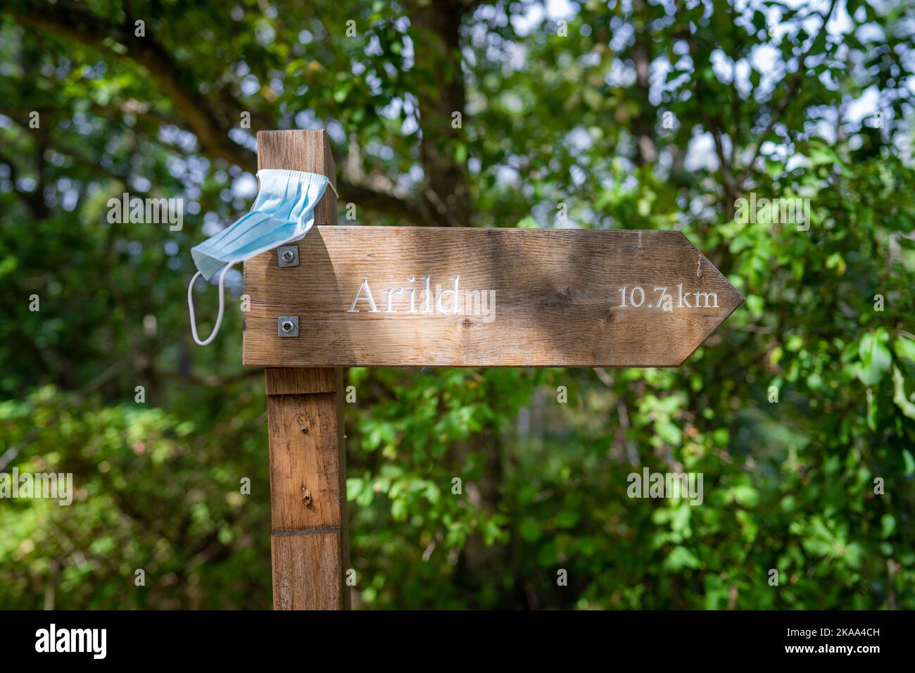 A closeup shot of a wooden directional sign with a facial mask showing ...