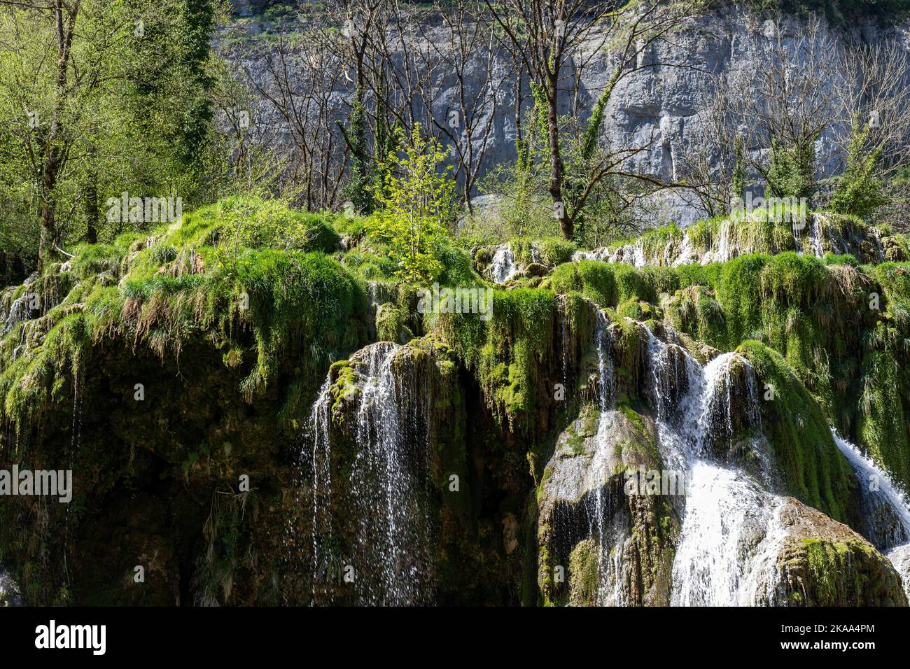The Nature preserve Izvorul Bigar in in southwestern Romania Stock ...