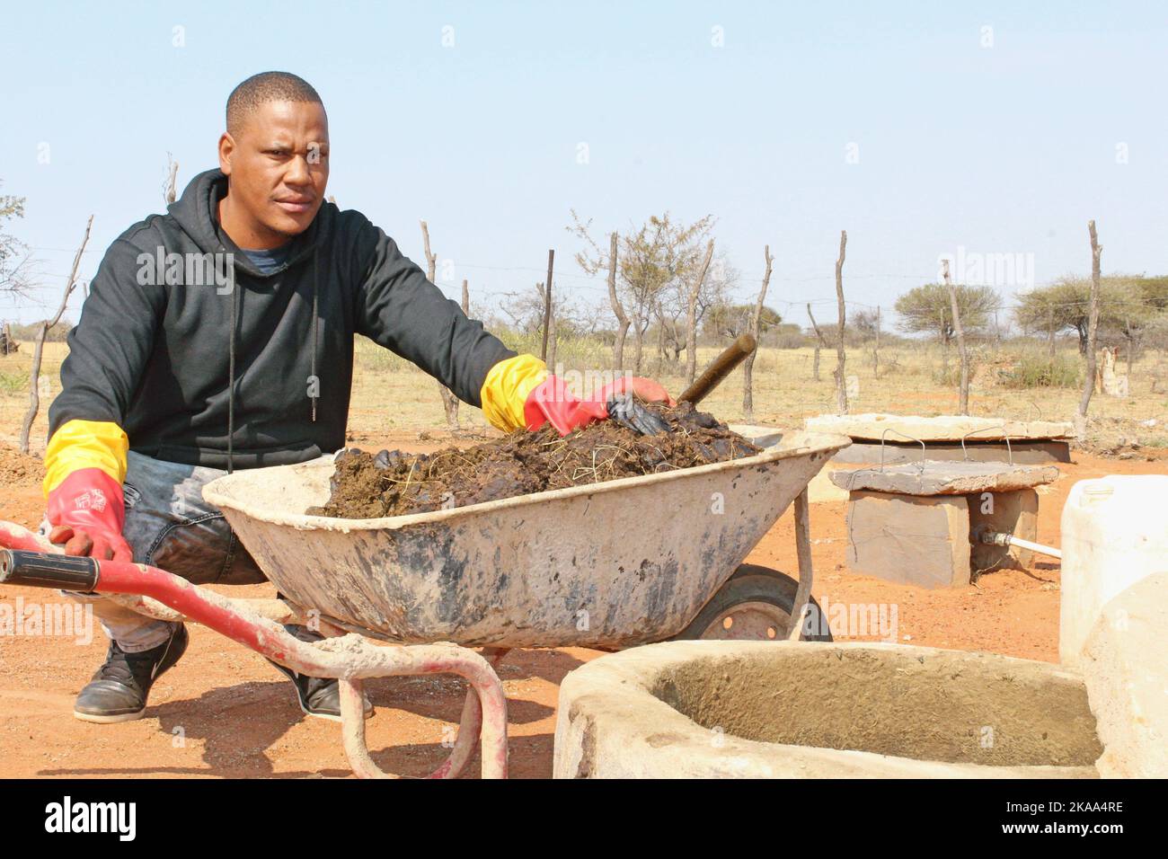 Mmathethe, Botswana. 1st Nov, 2022. Goemeone Kagiso feeds cow dung into ...