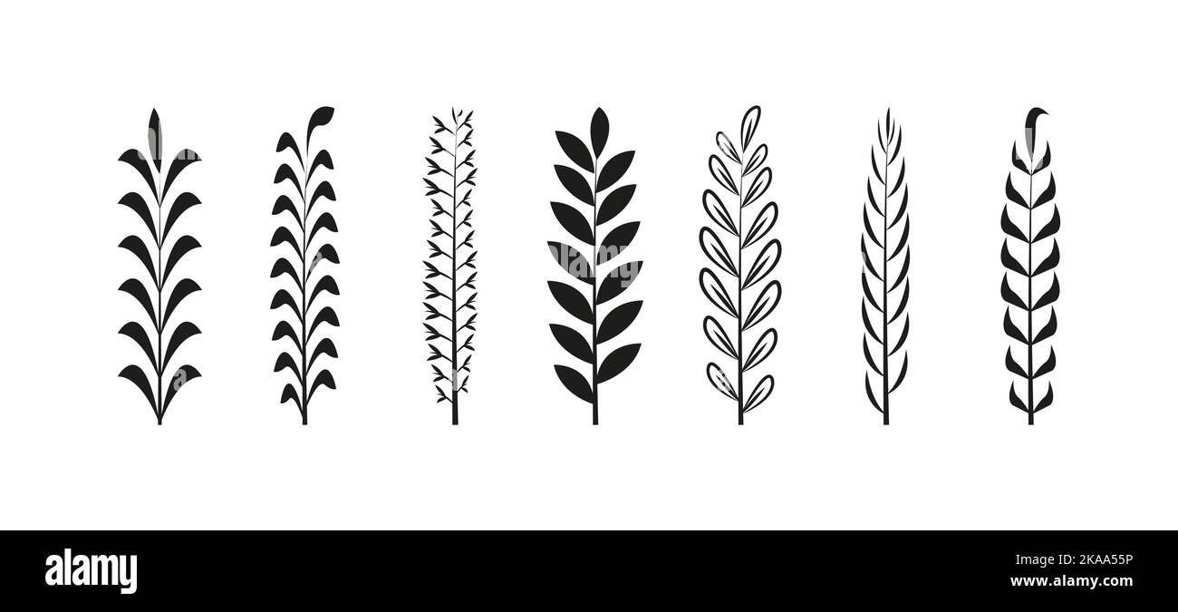 Plants sketch, great design for any purposes. Set of hand drawn flowers ...