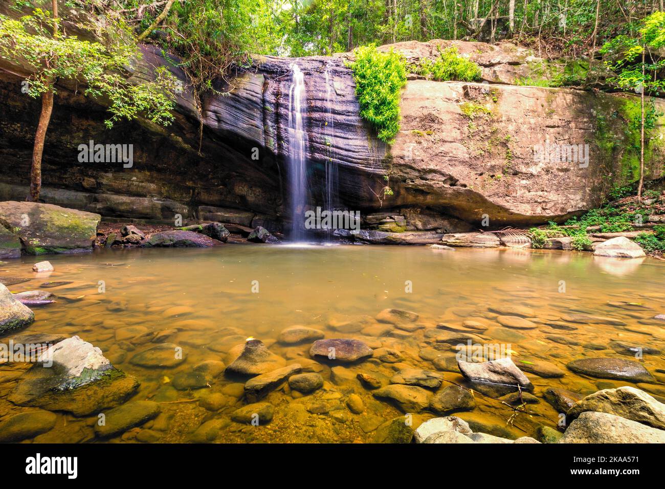 The Buderim forest park waterfall flowing down a cliff into a clear ...