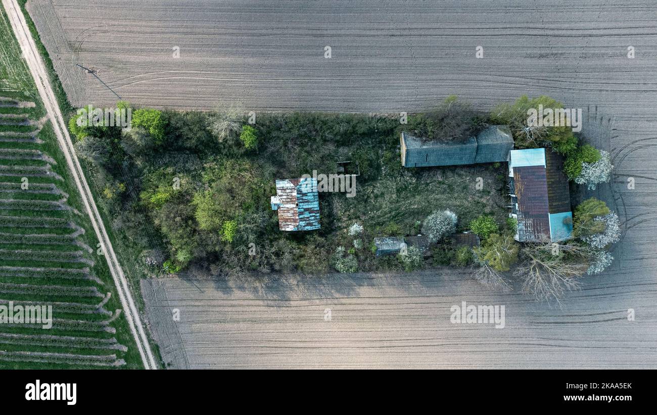 Adrone aerial view of beautiful small farms in the fields. Charming ...