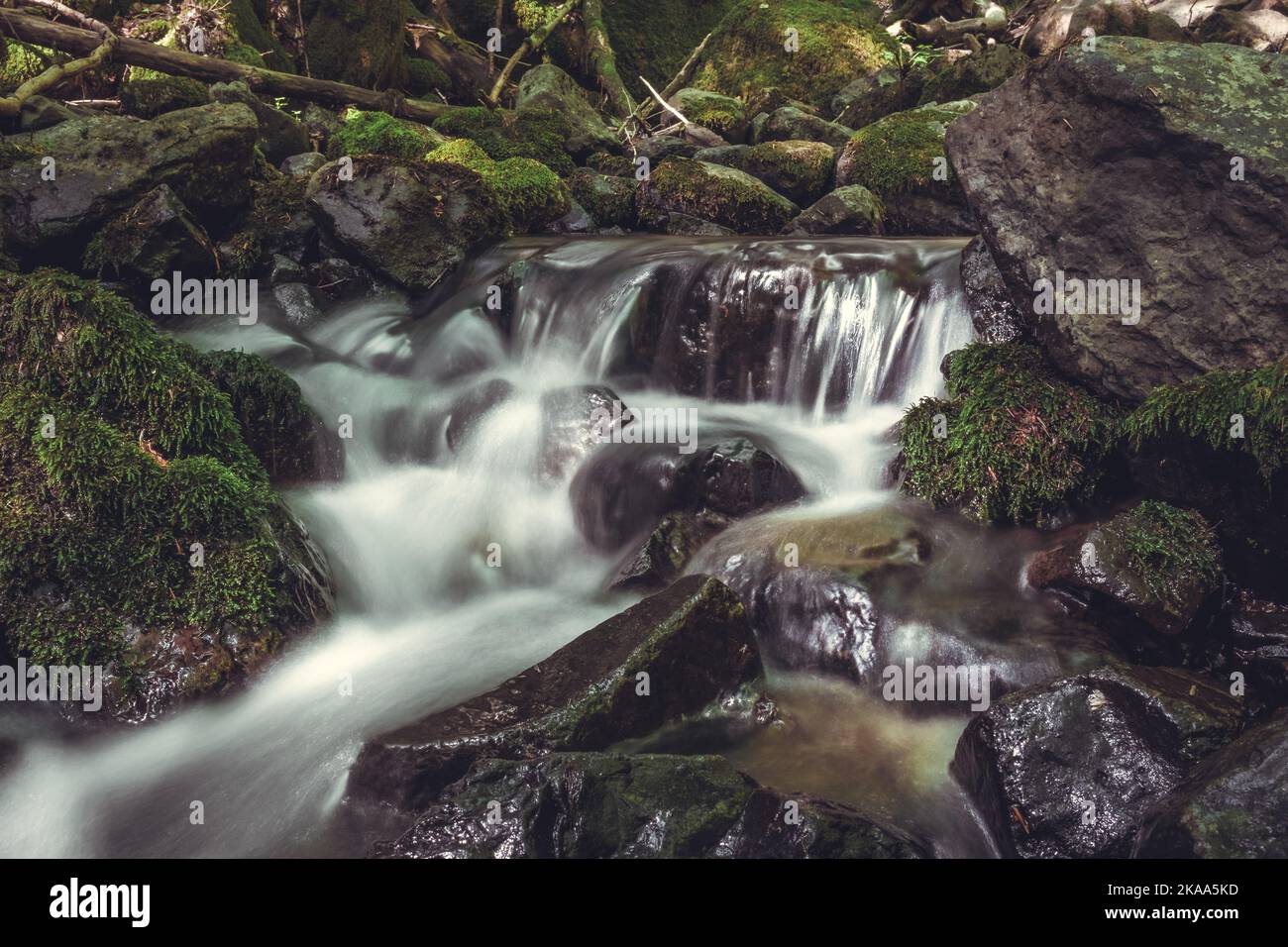 A small waterfall flowing through the moss-covered rocks in Unesco Rhon ...