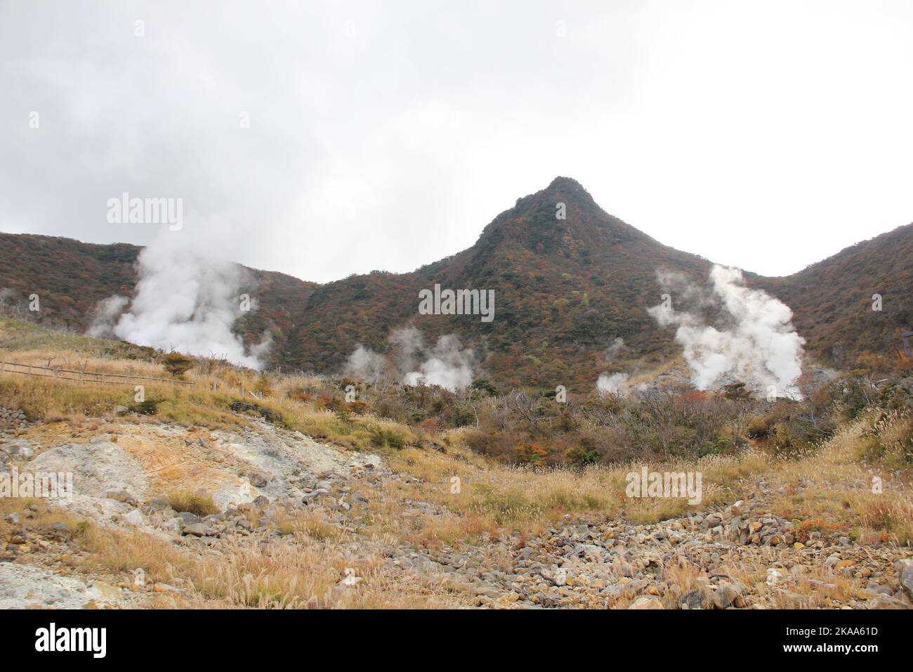 Active sulphur vents of Owakudani at Hakone national park, Japan Stock Photo - Alamy