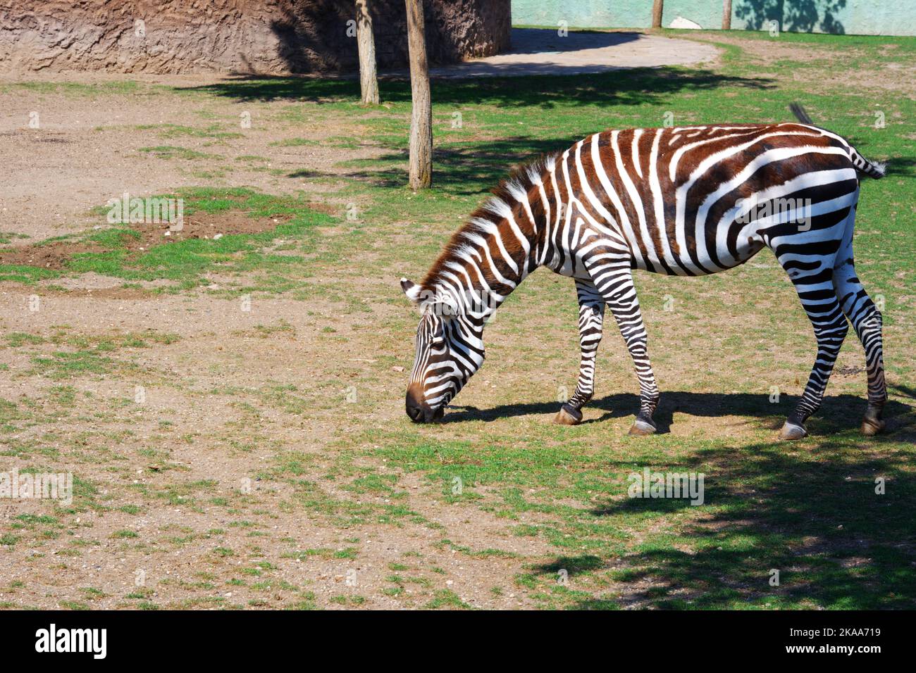 Outdoors african hi-res stock photography and images - Alamy