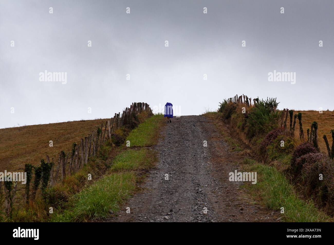 Pilgrim walking on the countryside road at Early morning during the ...