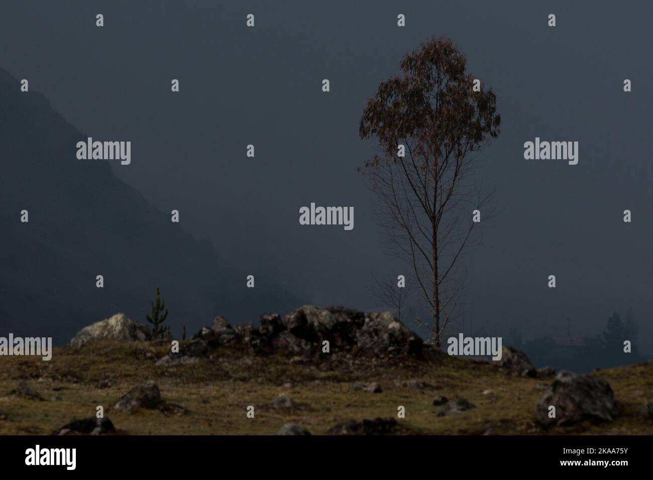A nature scene in the Lares Valley in Peru Stock Photo - Alamy