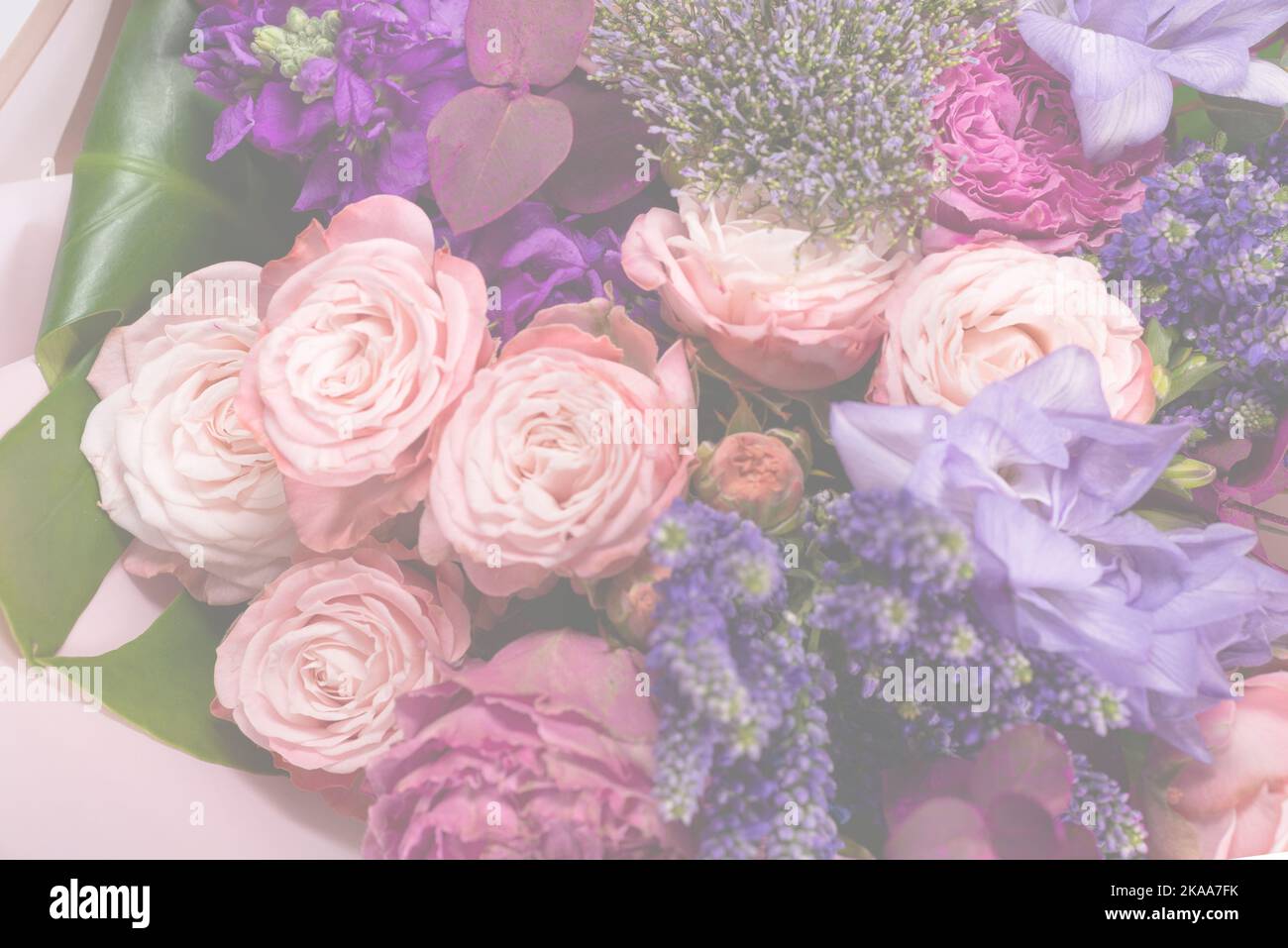 Bouquet of soft pink flowers in pink wrapping paper Stock Photo - Alamy