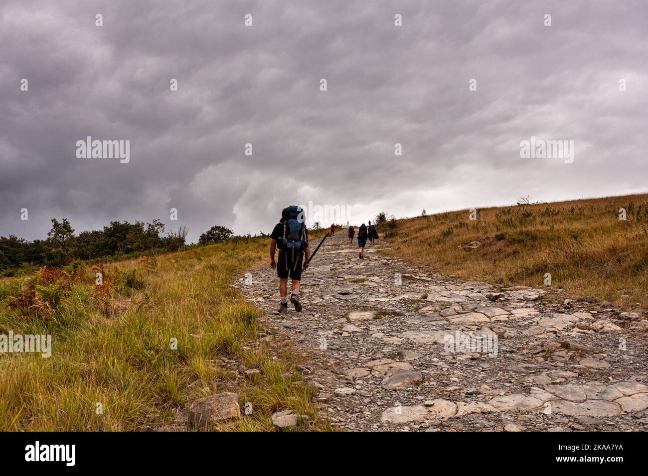 Group of Pilgrims walking on the path of Way of St James, The french ...