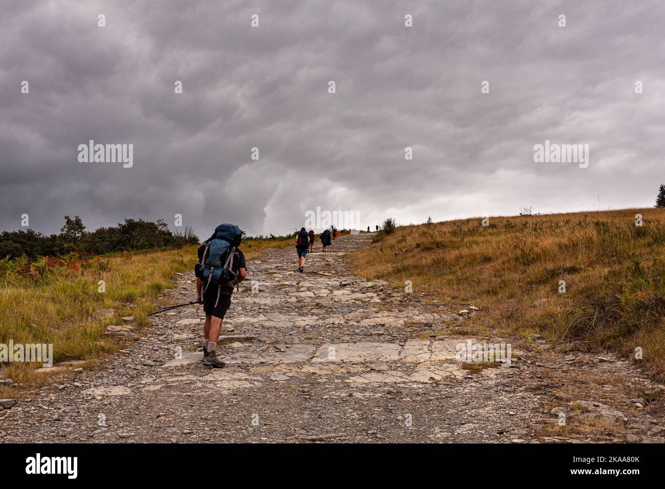 Group of Pilgrims walking on the path of Way of St James, The french ...