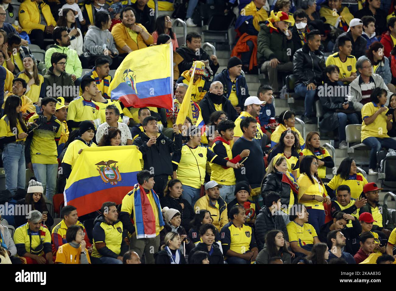 DUSSELDORF - fans of Ecuador during the international friendly match ...
