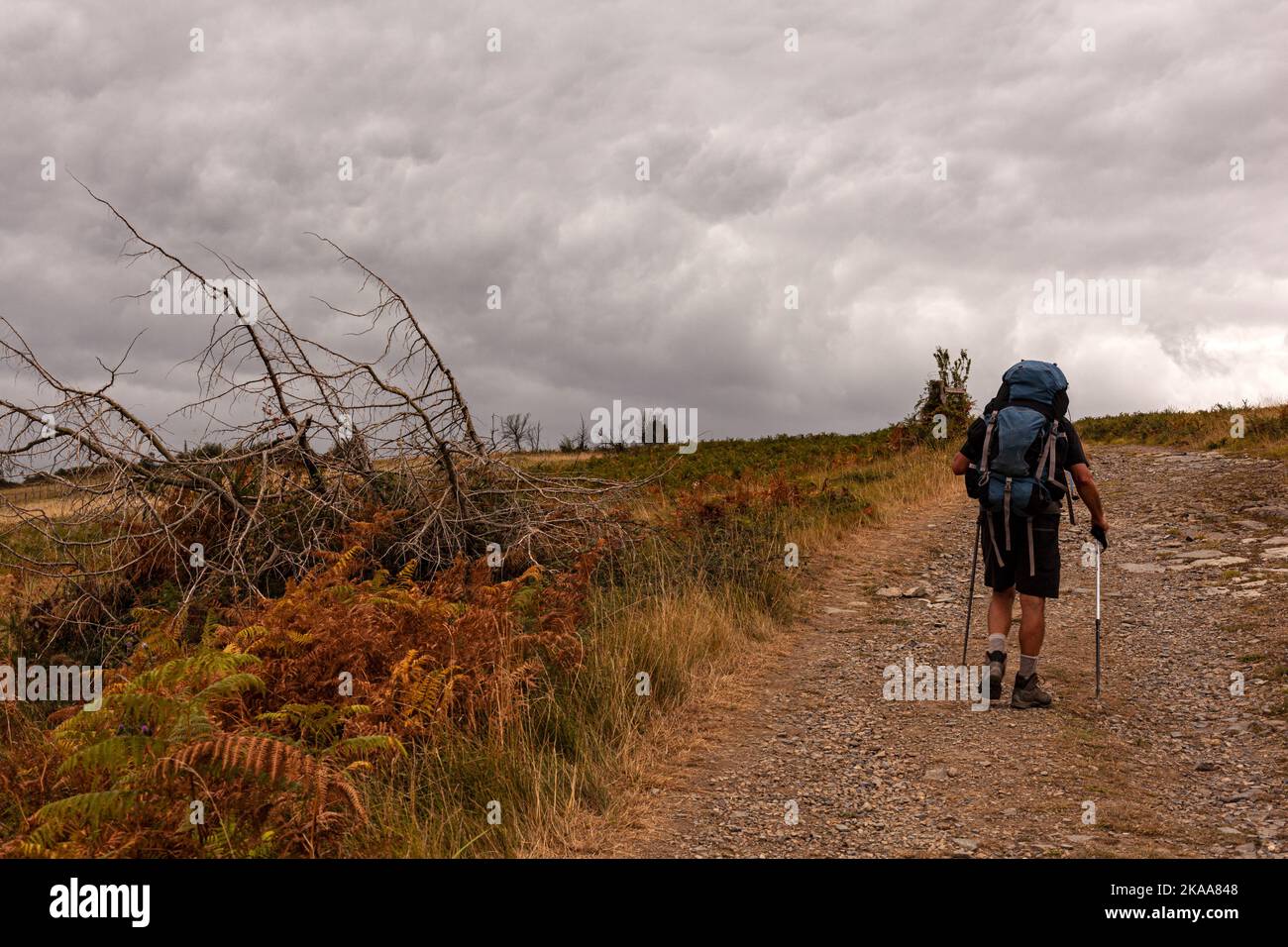 Pilgrim walking on the path of Way of St James with a stormy sky ...