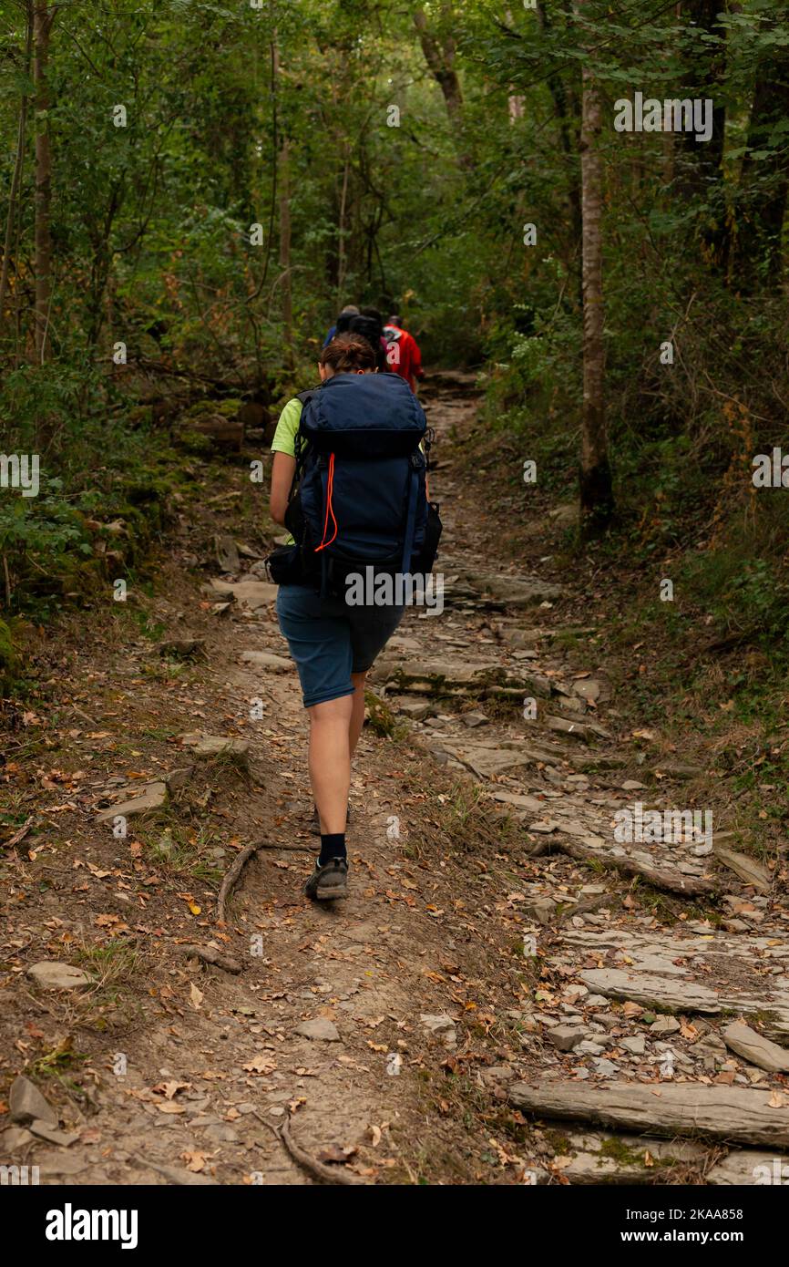Pilgrim walking on the path of Way of St James, The french route called ...